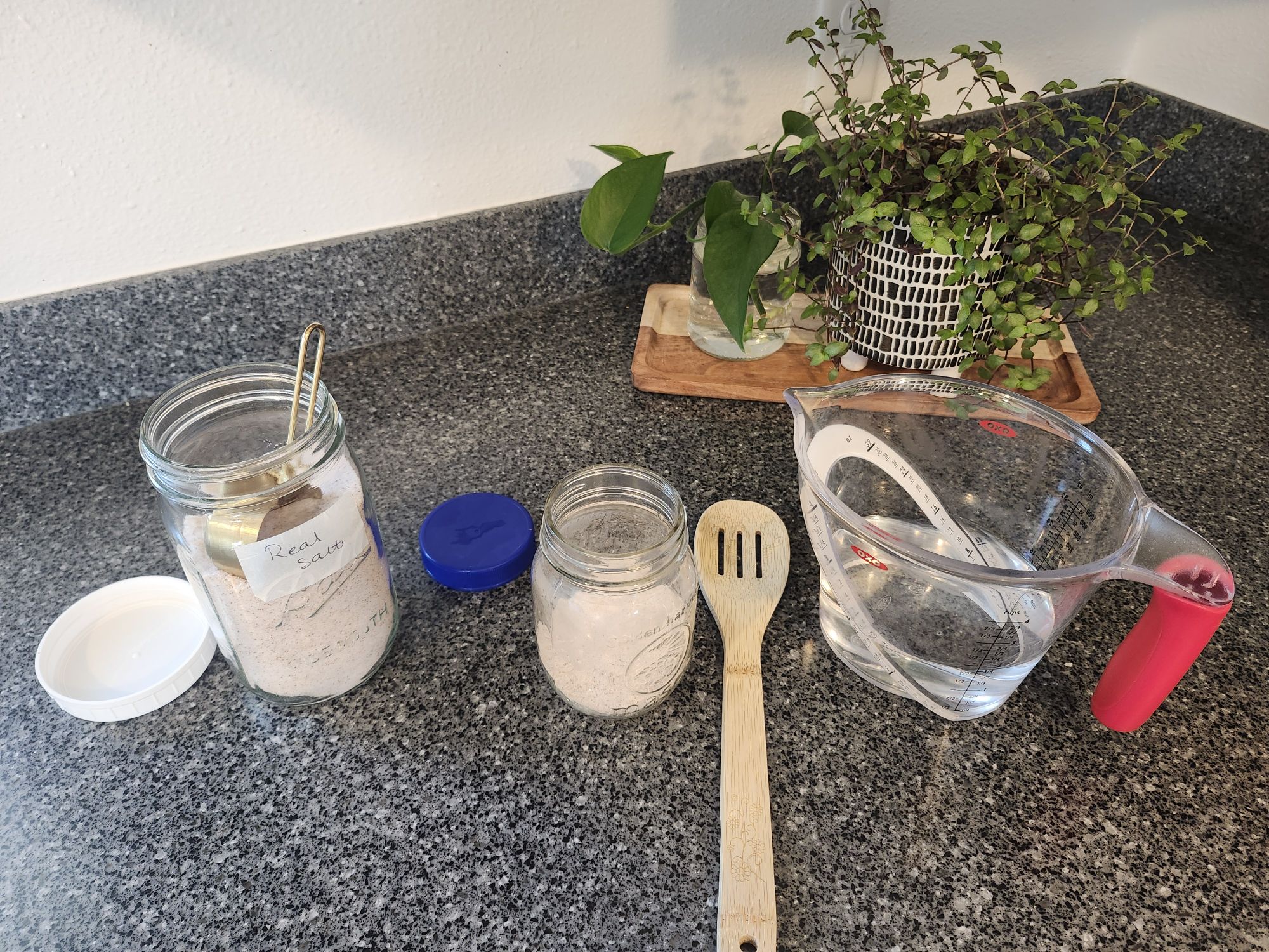 SOLE WATER – of windowsills and breezy hills