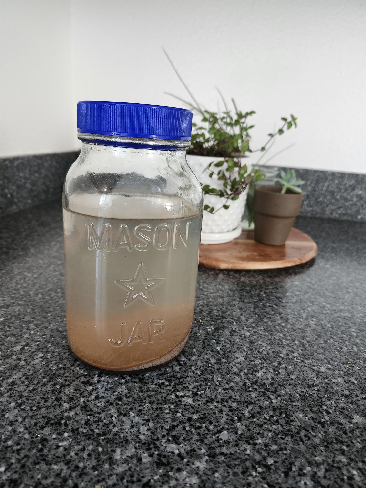 SOLE WATER – of windowsills and breezy hills